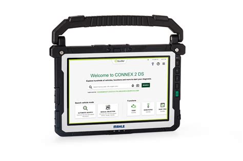 Brain Bee — Connex 2