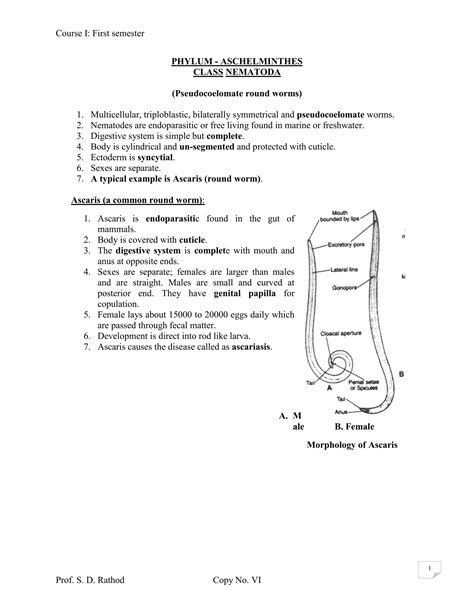 Class Nematoda Sudeshrathod Pdf