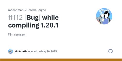 Bug While Compiling 1201 · Issue 112 · Racoonman2reterraforged · Github