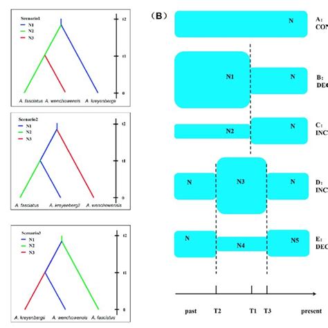 A Schematic Representation Of Three Evolutionary Scenarios For A
