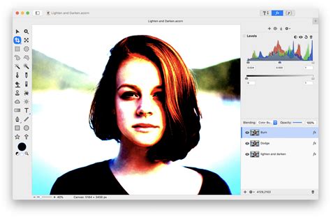 Lighten Or Darken Acorn 8 Docs