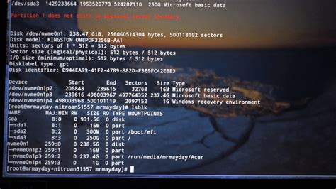 Dual Boot Error Rarcolinux