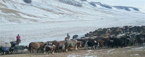 ЗАВХАН Оторлож яваа малчдад эмнэлгийн тусламж үйлчилгээг үзүүлж байна