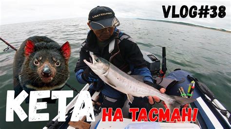 КЕТА на ТАСМАН | Выходной + Рыбалка - YouTube