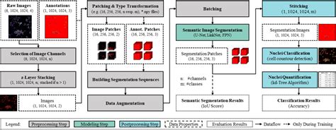 Figure 1 From A Modular Deep Learning Pipeline For Cell Culture