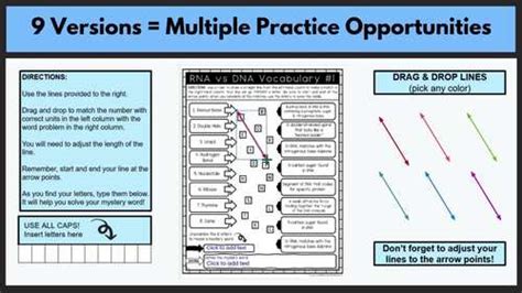 Rna And Dna Structure And Function Bundle Engaging Vocabulary Activities