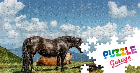Horses On An Alpine Meadow Jigsaw Puzzle Animals Pets Puzzle Garage