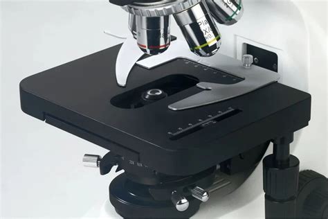 100x Fluorescent Microscope At ₹ 15000 Piece Confocal Fluorescence Microscopy In Ahmedabad