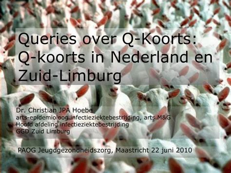 Ppt Queries Over Q Koorts Q Koorts In Nederland En Zuid Limburg