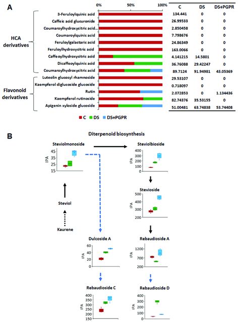 Relative Quantification Of Phenolics And Steviol Glycosides A Download Scientific Diagram