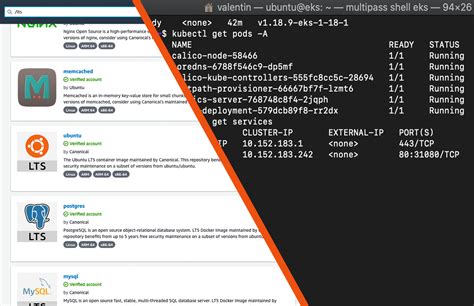 Use Amazon Ecr Public And Eks D To Deploy Lts Docker Images Ubuntu