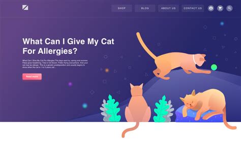 Create A Web Application Using React Js And Redux By Sachitha Fiverr