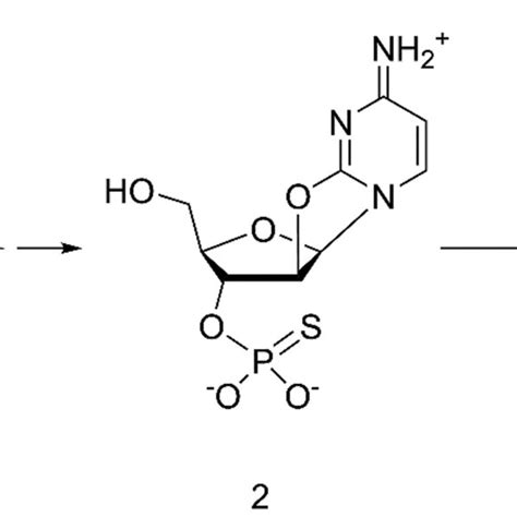 A Possible Route To 3′ S5′ Cyclic Cmp Download Scientific Diagram