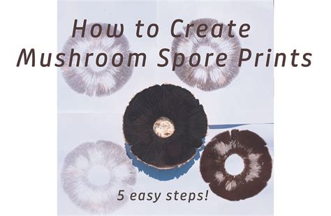 How To Create Mushroom Spore Prints