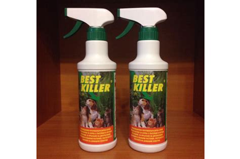 препарат за вредители като паяци Archives Отрова за мишки и плъхове на ниска цена от ДЖОРТАНИ ЕООД