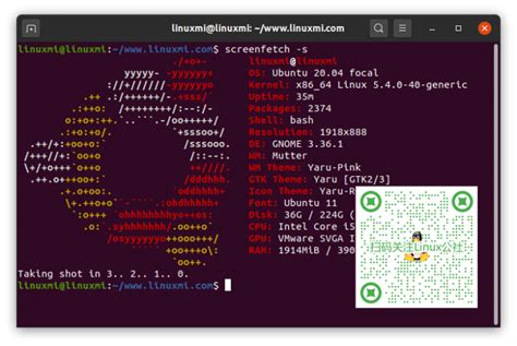 在终端中以ascii图形显示linux版本logo Linux迷