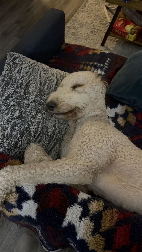 The Biggest Shit Eating Grin Ive Ever Seen On Him Hahahaha R