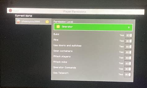 Commands Not Working On Converted World Bedrock Edition Rminecraft