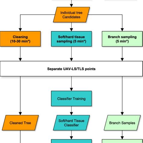 processing work flow for individual tree volume estimation based on