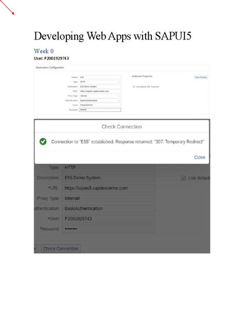 Developing Web Apps With Sapui5 Pdf Web Application Unit Testing