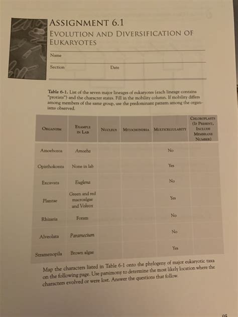 Solved O Introduction To Eukaryotes Evolution And Ecology