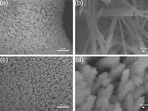 Preparation Method Of Copper Nickel Cobalt Hydroxide Composite Material Eureka Patsnap