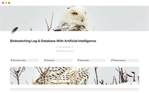 Birdwatching Log And Database With Ai Template Notion Marketplace