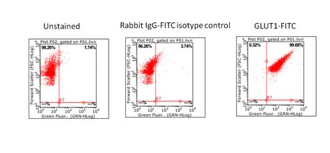 Isotype Control For Flow Cytometry Biocompare Antibody Review