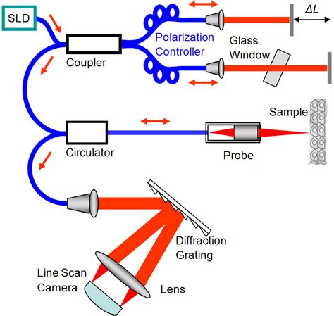 Schematic Of The Common Path Endoscopic Fourier Domain Oct Download Scientific Diagram