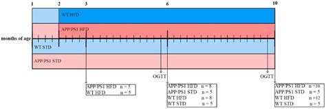 Experimental Design Of The Study At The Age Of 2 Months Part Of The