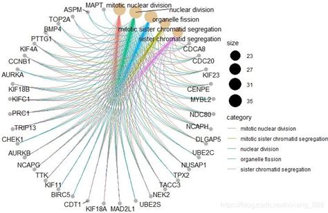 ggplot2 坐标轴或legend的label长度 时间序列坐标长度legend csdn博客