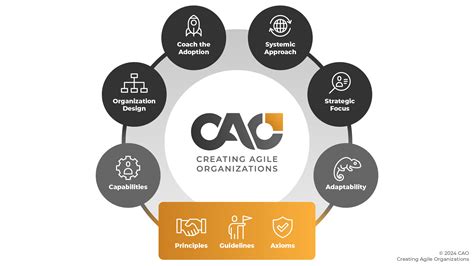Agile Organization Design Moving Beyond Size Logic Creating Agile
