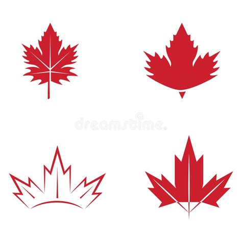 Maple Leaf Vector Illustration Stock Vector Illustration Of Beautiful
