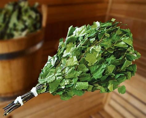 Какой веник лучше выбрать для бани