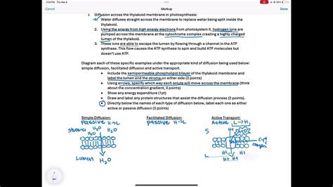 Diffusion Exam Question Explained Youtube