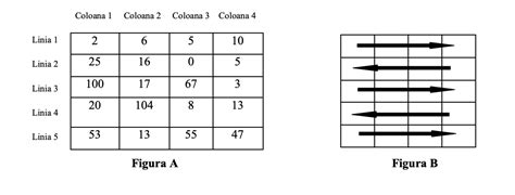 Problem 1507 Soricel