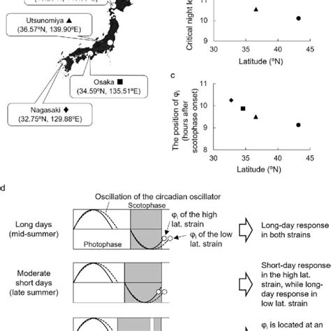 Photoperiodic Time Measurement System Download Scientific Diagram
