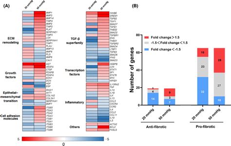Rt2 Profiler™ Pcr Array Analysis On The Expression Of Genes Involved In