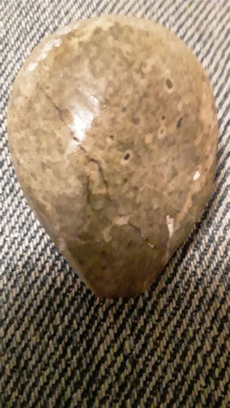 ปักพินโดย Allan Whipple ใน Rocks And Fossils