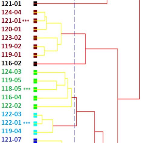 dendrogram after cluster analysis based on the correlation matrix from