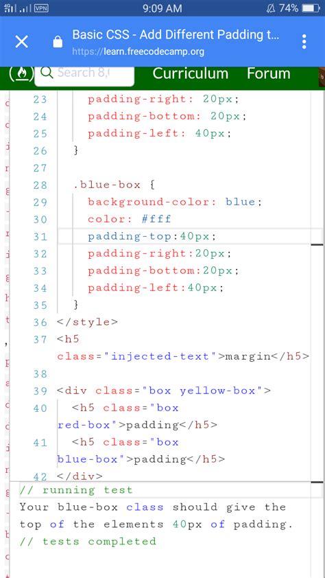 Whats The Wrong With These 😂 Html Css The Freecodecamp Forum