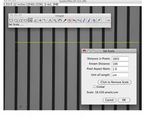 figure 2 from automated sperm head morphology analyzer for open source