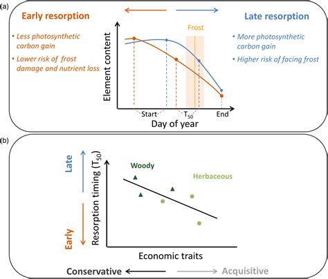 Leaf Functional Traits Predict Timing Of Nutrient Resorption And Carbon