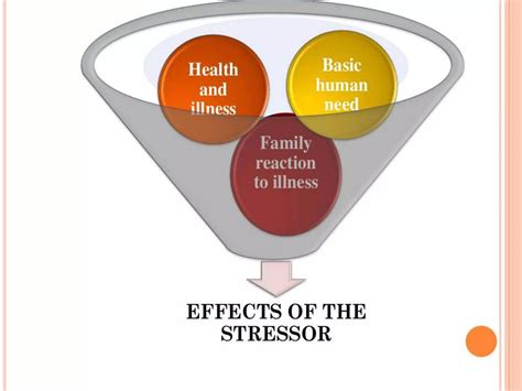 Stress And Adaptation Pptpptx
