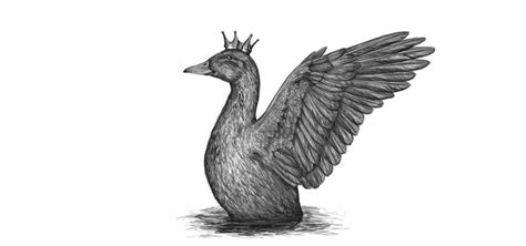 How To Draw Feathers