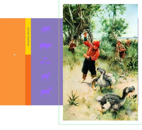 Dodo Reviving The Dodo