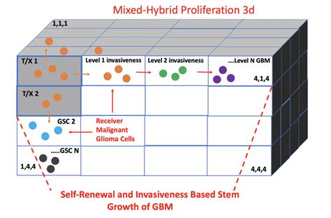 3 Dimensional Voxel Model Hybrid Configuration Download Scientific