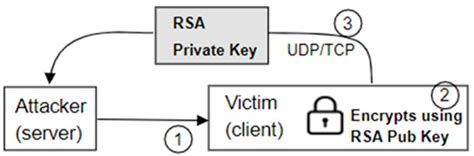 Crypto Ransomware Detection Through A Honeyfile Based Approach With R Locker