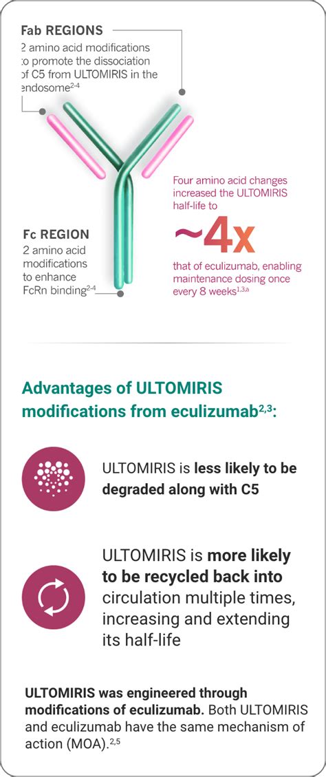 Ultomiris Molecule Ultomiris® Ravulizumab Cwvz Gmg