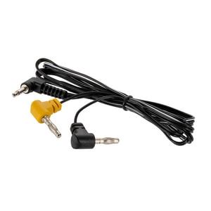 Electric Sex Eagle Leather